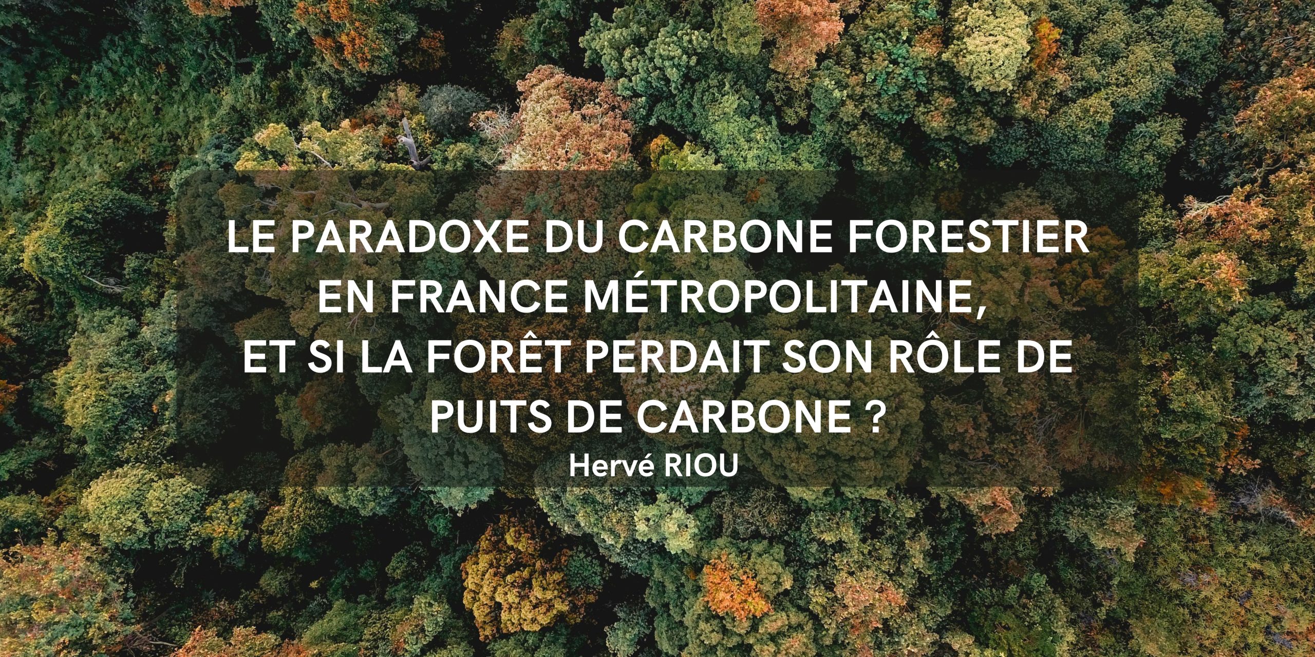 Le paradoxe du carbone forestier en France métropolitaine, et si la ...