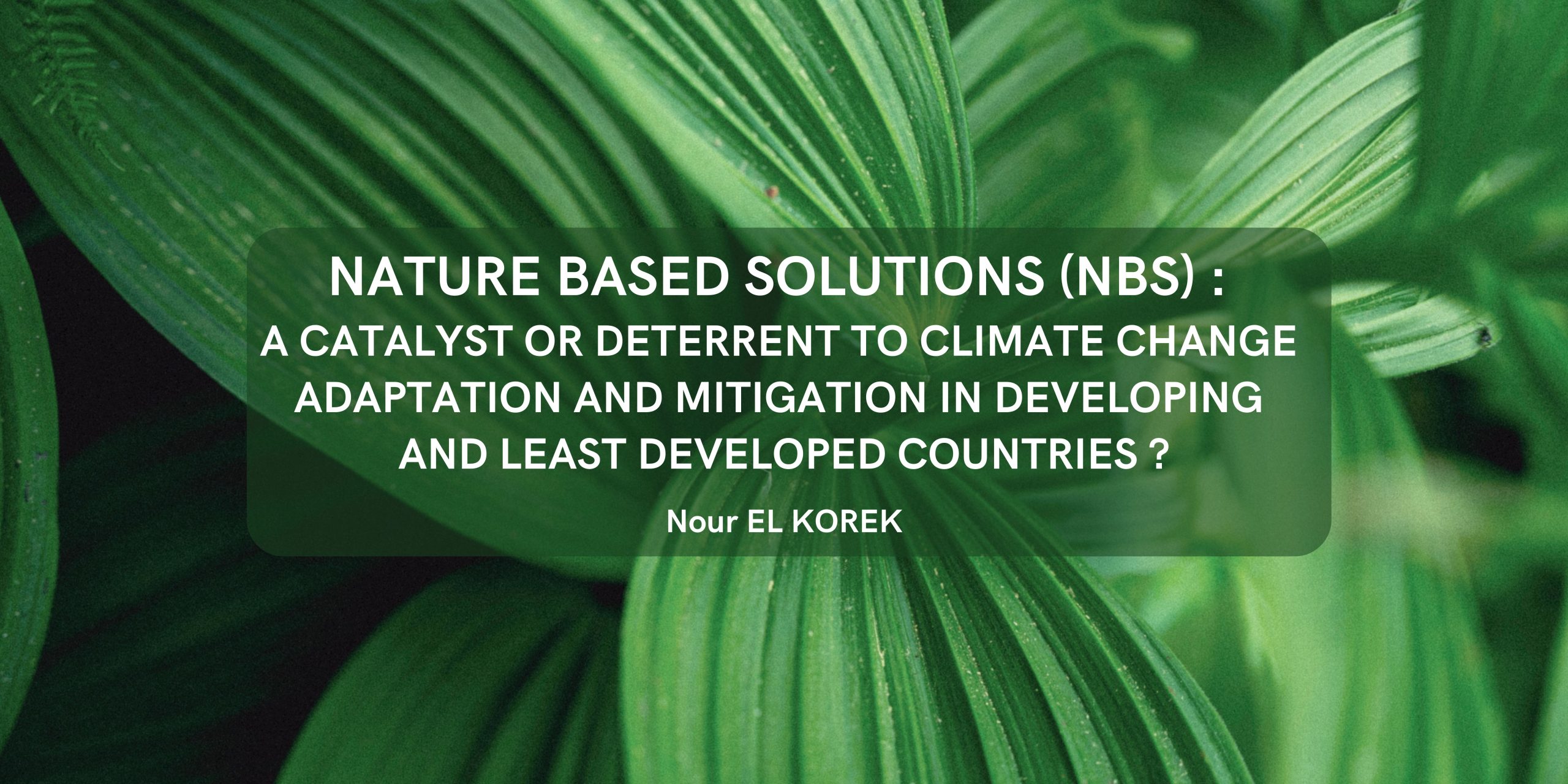 Nature Based Solutions (NBS) : a catalyst or deterrent to climate change adaptation and ...